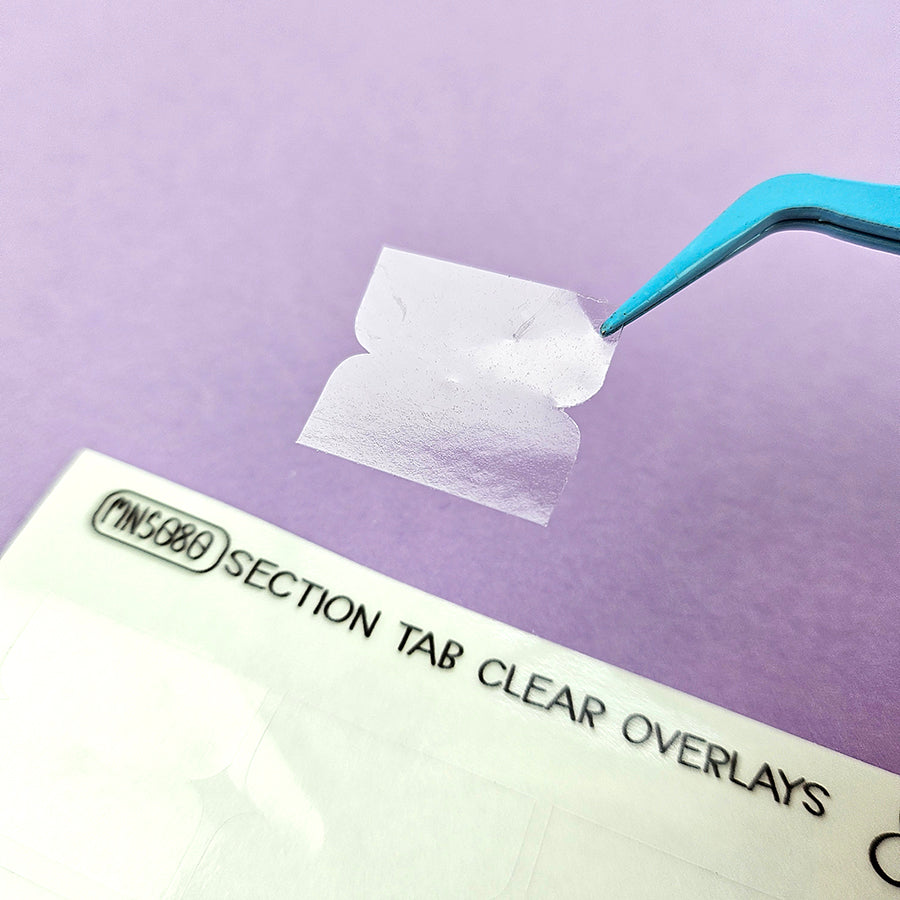 Clear Section Tab Overlays Mini Sheet – Shine Sticker Studio