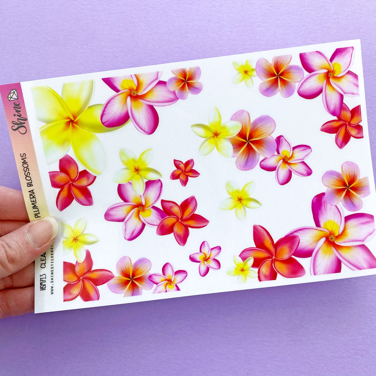 Clear Plumeria Flower Decorative Stickers – Shine Sticker Studio